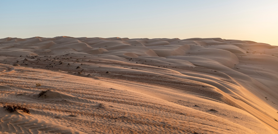 Tour di Gruppo Oman 2025/2026 “Le Vie del Sultano” | Wow Viaggi